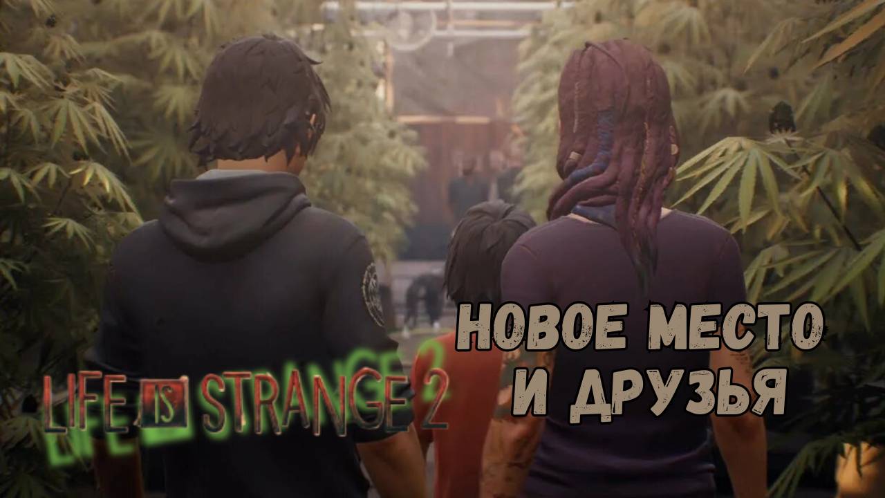 LIFE IS STRANGE 2 ►3 ГЛУШЬ► НОВОЕ МЕСТО И ДРУЗЬЯ