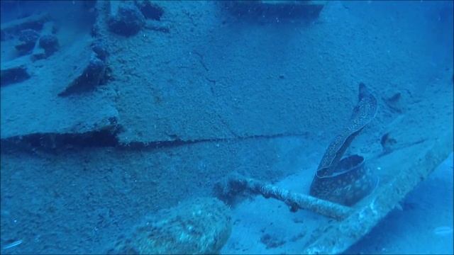Затонувший корабль SG-120 (Shipwreck SG-120). Текирова-Кемер-Турция. 08.10.2023