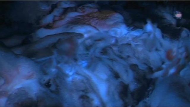 Россия в 2050 году