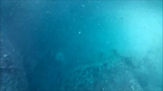 "Кадетка". 24.10.2020. г. Севастополь.