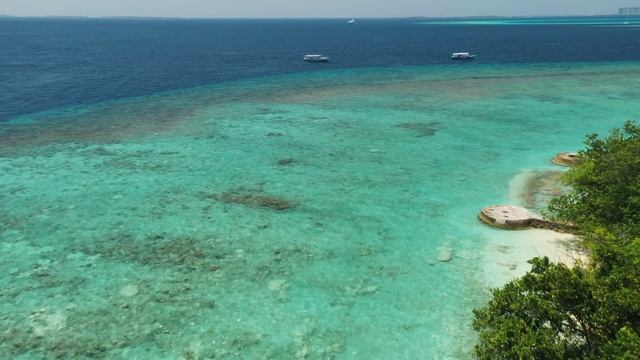 8356780-uhd_2560_1440_25fps