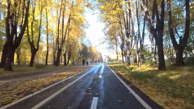 Измайловский парк, осень