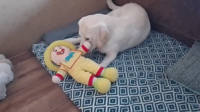 Новая игрушка Клоун 12.10.24