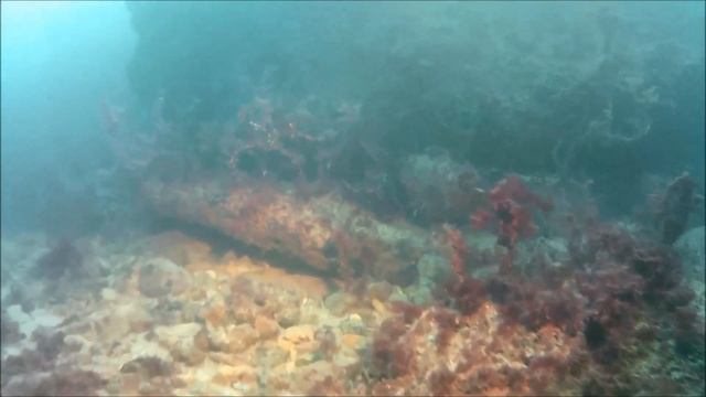 Погружение на выходе из бухты Казачьей.