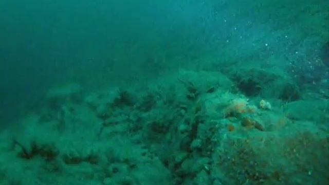 Ушаковка 15 06 2013