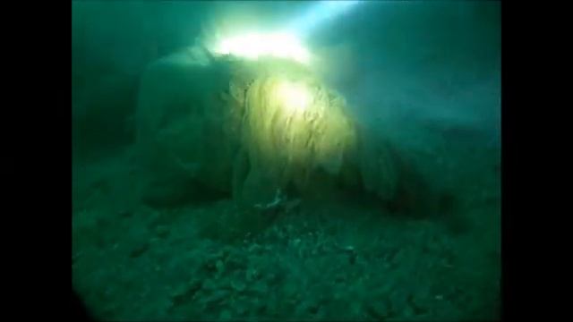 Устричная 05.04.2014