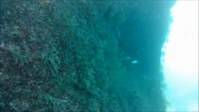 Арки и гроты в районе мыса Херсонес. 15.08.2020