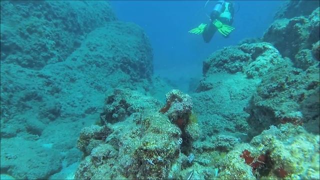 "Амфора риф"/"Amphora Reef". 28.04.2024