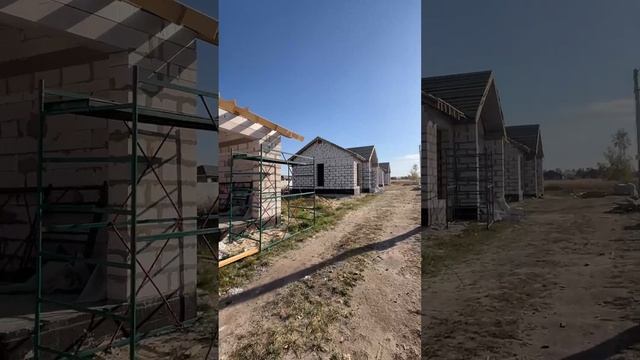 Дома в с. Новоживотинное. Второе видео.