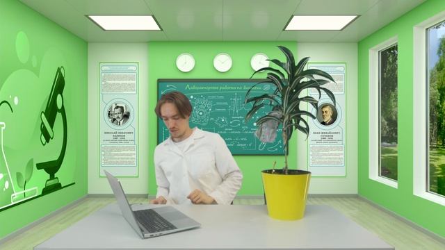 14 Испарение воды листьями растений