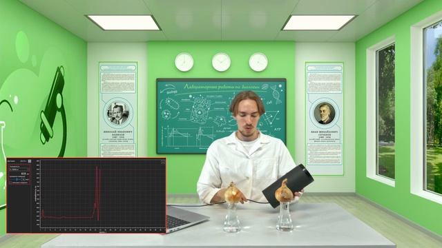 13 Влияние освещенности на рост побегов лука