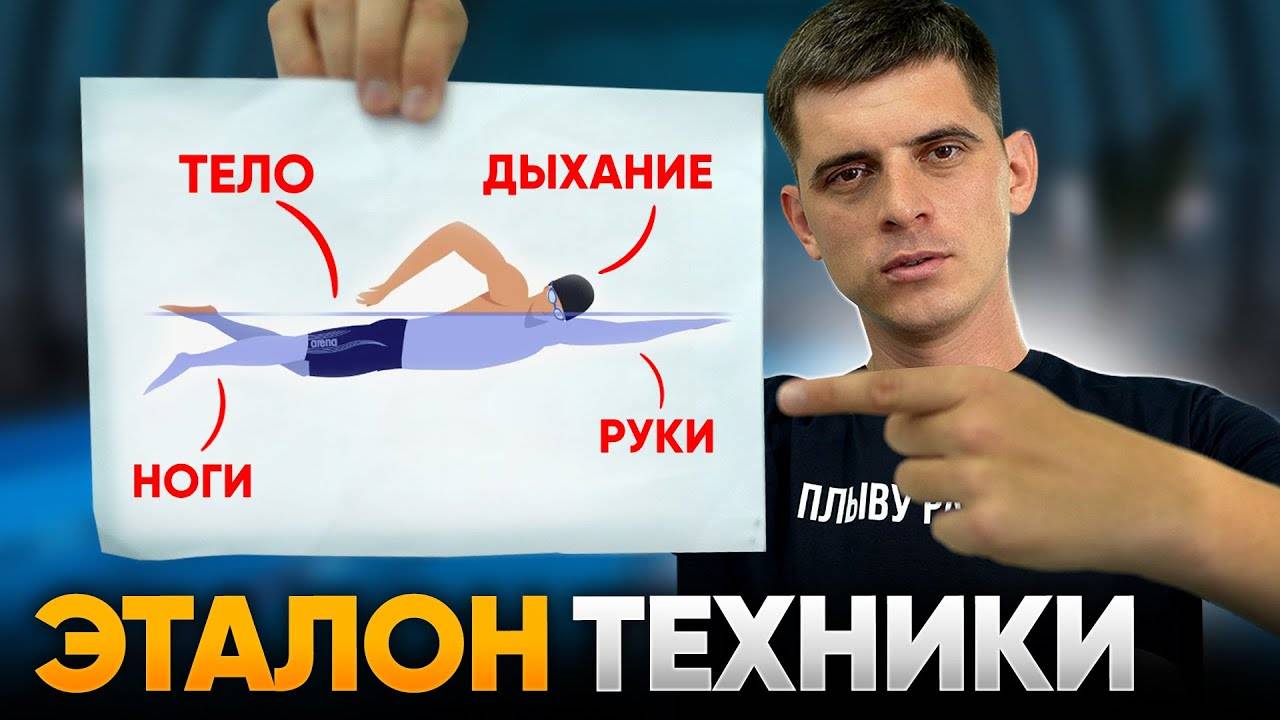 Эталонная техника КРОЛЯ! | Плавание кролем | Swim Rocket | Никита Кислов