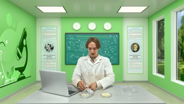 18 Влияние условий влажности на рост грибов плесени