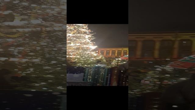 Предновогодняя Дворцовая. Работает "Почта Деда Мороза" от "Петербургского дневника" и Почты России.