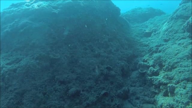 Сноркелинг. Nirvana Dolce Vita 5* октябрь 2022 г.