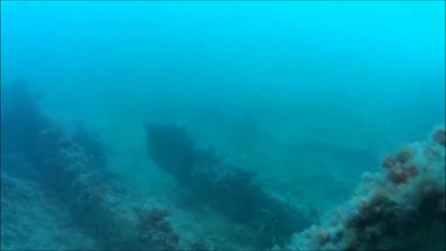 "Виновоз" 27.03.2021 г.