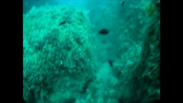 п. Орджоникидзе, июль 2015 г.