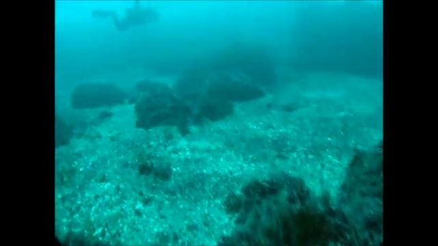 "Гряда" 30.11.2013