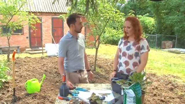 Домашний сад   Новый сезон Выпуск № 1