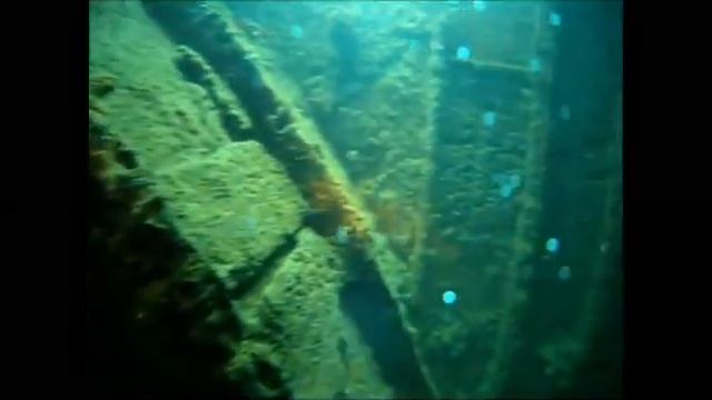 Торпедолов. п. Орджоникидзе, Крым, июль 2016 г.