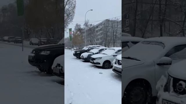 Начало ноября удивляет☃️