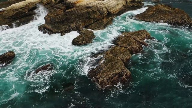 8438336-hd_1920_1080_30fps