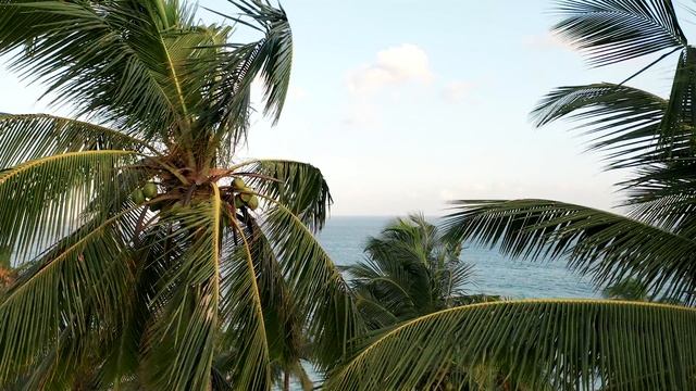 8419674-uhd_3840_2160_25fps