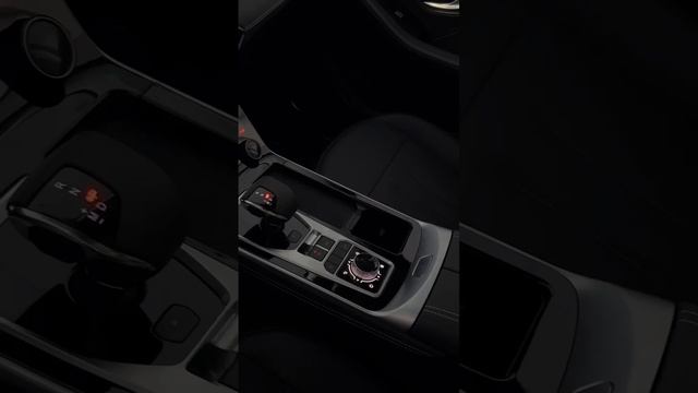 Для классифайдов JETOUR Х90PLUS синий