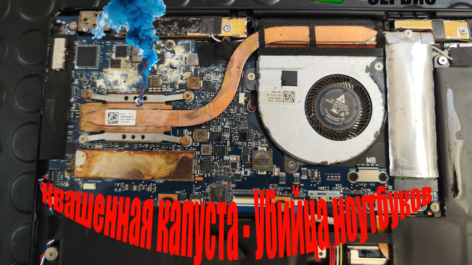 Квашенная капуста убила ноутбук Asus zenbook