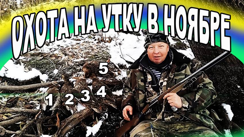 Охота на утку  в ноябре