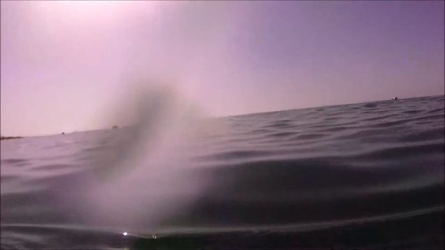 Море и пляж отеля Seven Seas Hotel Blue 5*. Турция, Сиде, сентябрь 2021 г.