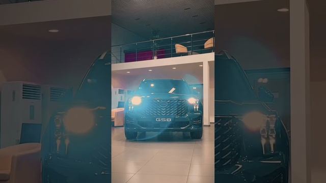 Для классифайдов GAC GS8 зеленый