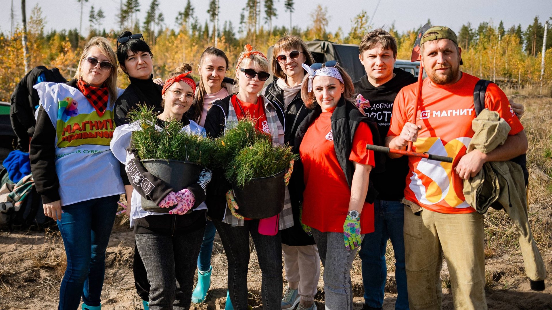 Посадка леса в Республике Мордовия 4 октября 2024 года