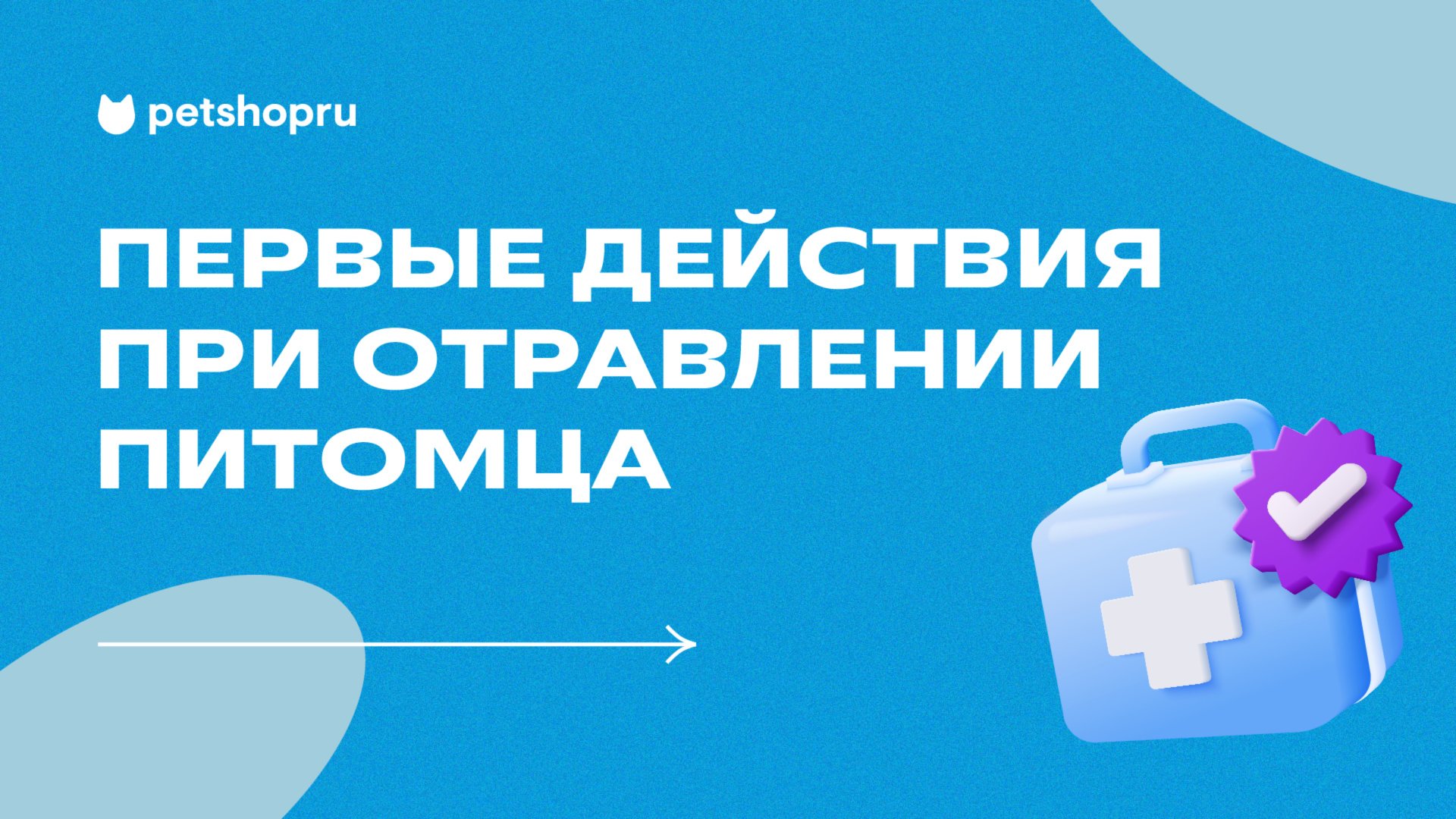 Что делать, если питомец отравился? Причины, симптомы и действия при отравлении животного