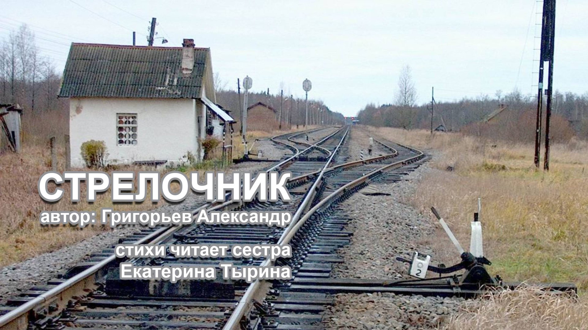 Стихи
