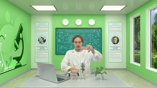 23 Сравнение интенсивности испарения воды листьями хвойных и широколиственных растений