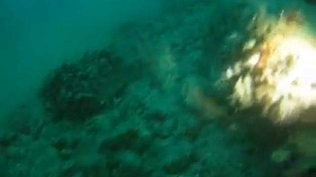 Ушаковка 09 11 2013