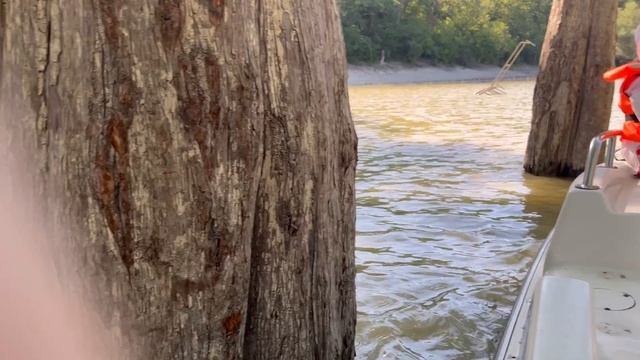 Анапа/Витязево/Кипарисовое озеро/Отдых 2024