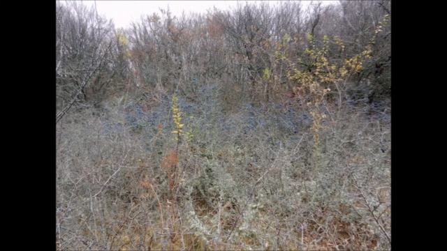 Прогулка к Кутузовскому озеру и аллее секвой. 05.11.2022 г.