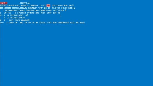 Оформление услуг аэропорта Сочи 18.07.2024