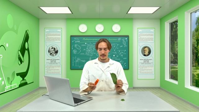 29 Исследование светопроницаемости листовых пластин