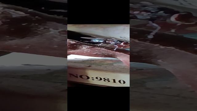 муха и всем кому нужны услуги от: адвоката, учитель английского, прочтите описание к этому видео