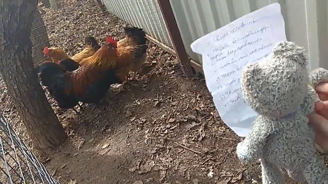 Мультфильм «Петсон и Финдус»