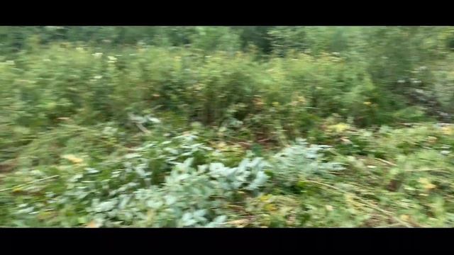 Купили хутор в лесу 16 серия  Красим дом