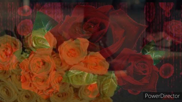 Верю, верю я верю