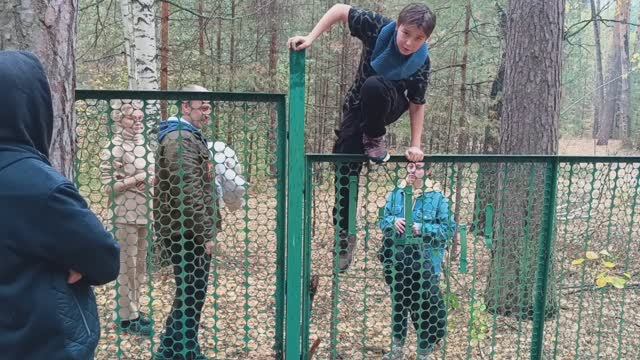 Гонки на собаках. Рязань.