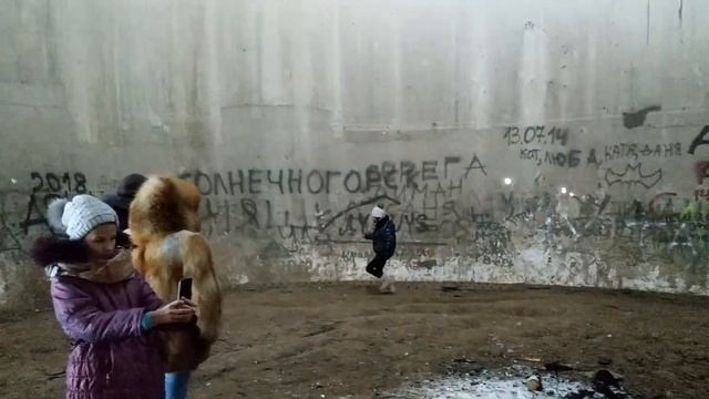 Как я провел ЭТО....Новогодние каникулы 2019