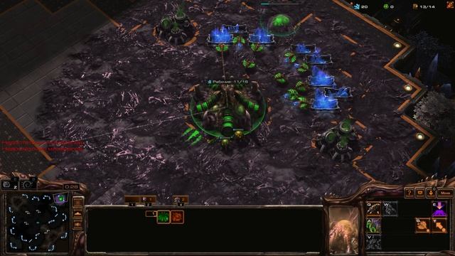 Катаем Катки