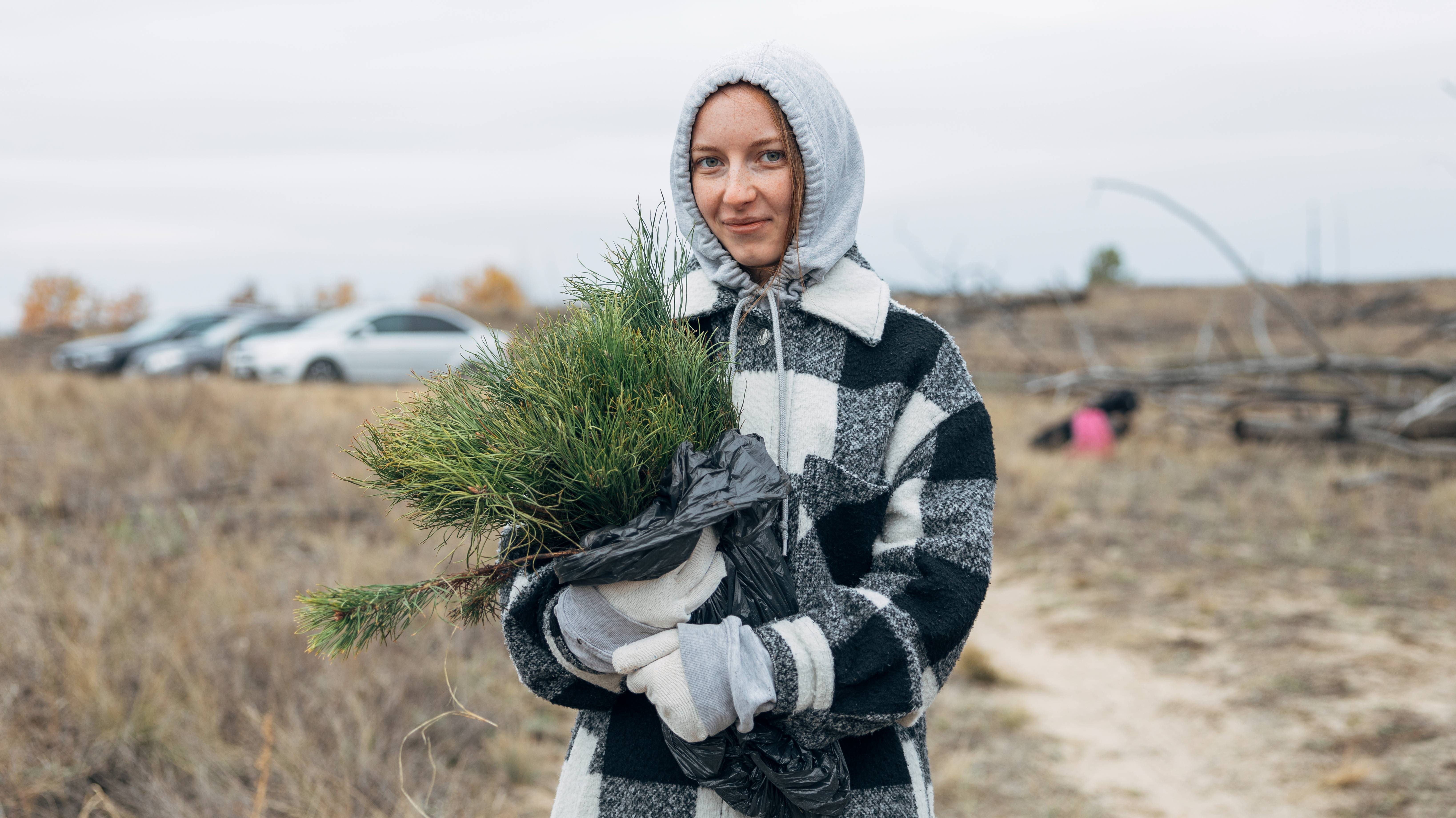 Посадка леса в Саратовской области 27.10.2024 года