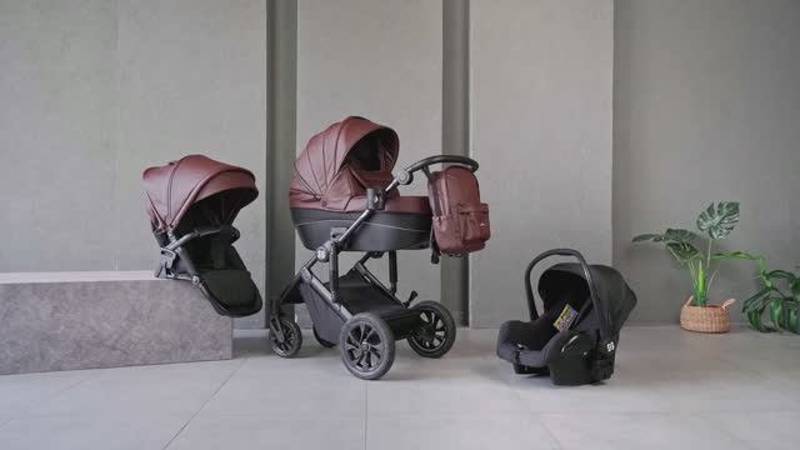 Коляска 3 в 1 для новорожденных Farfello Molly Trio